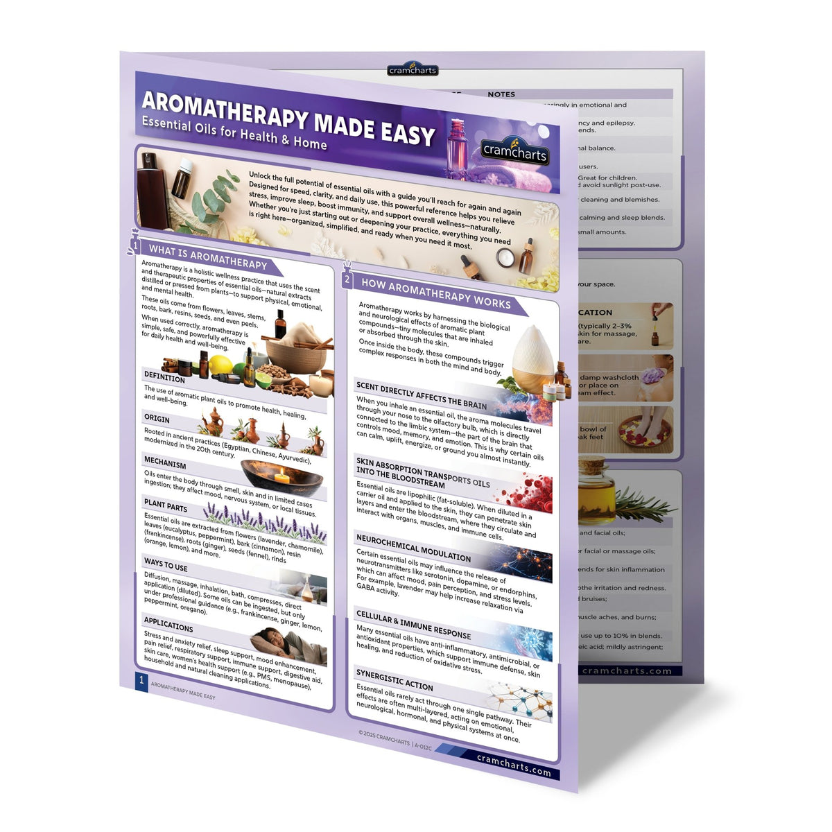 Aromatherapy Guide | Essential Oils, Blends, Safety Tips | Cramcharts ...